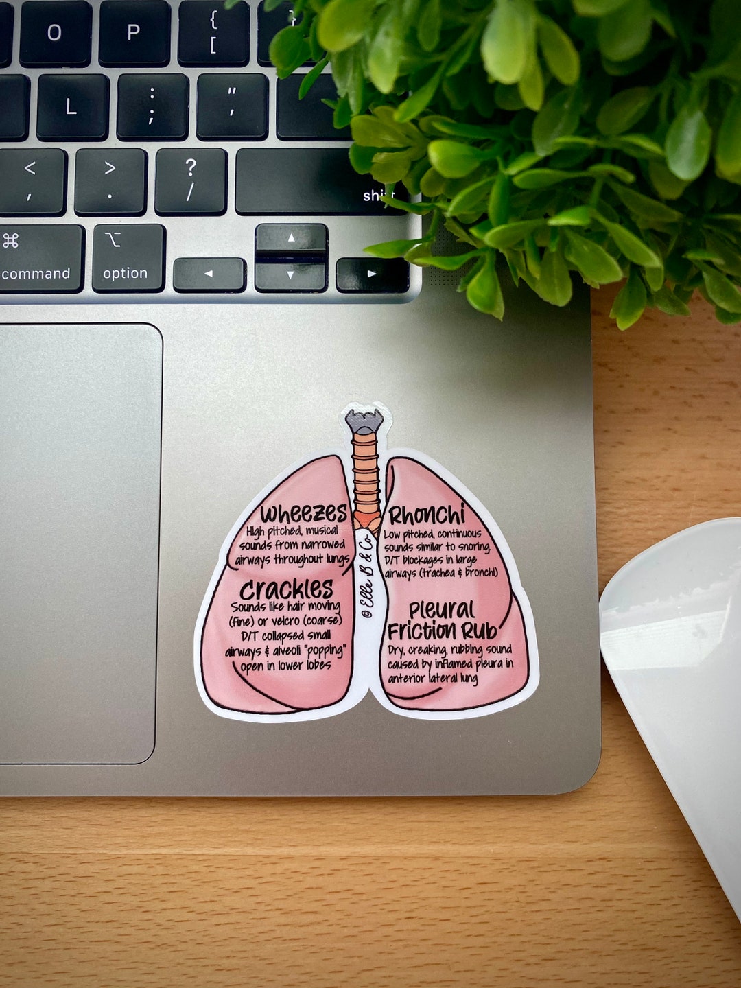 Lung Sounds Sticker Hand Drawn Water Resistant Vinyl - Etsy