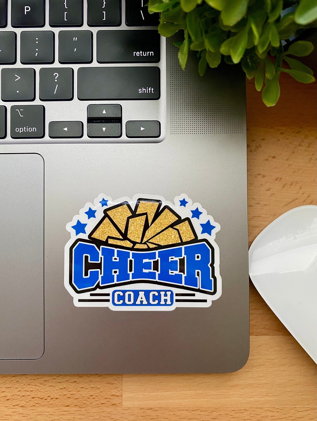 Cheer Coach Sticker | Vinyl Water Resistant Sticker - Etsy