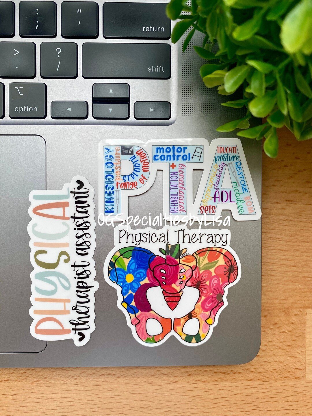 PTA Stickers | Physical Therapist Assistant | Water Resistant Vinyl ...