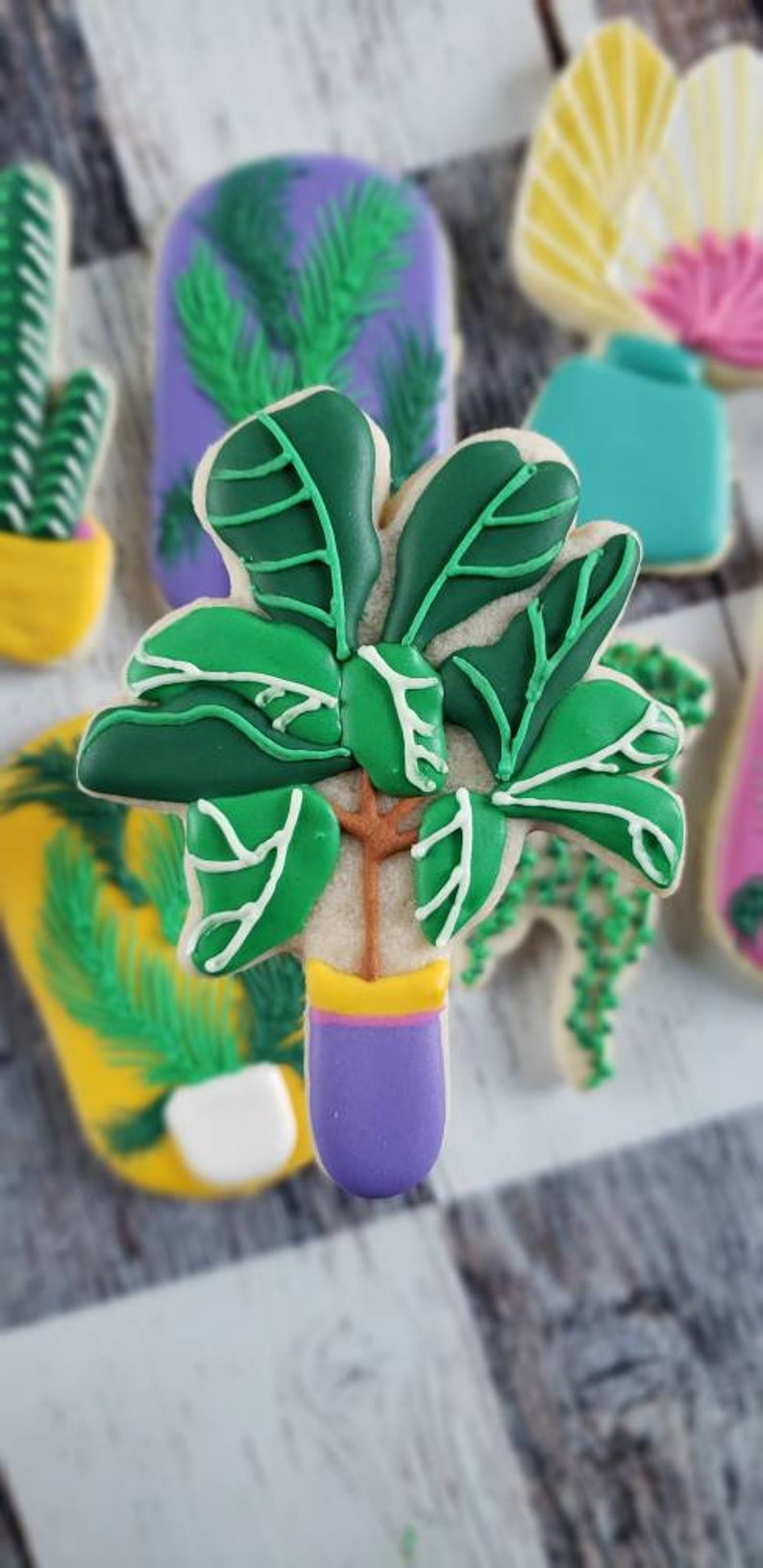 House Plants Class Cookie Cutters Cookie Cutters Cookie 3d - Etsy