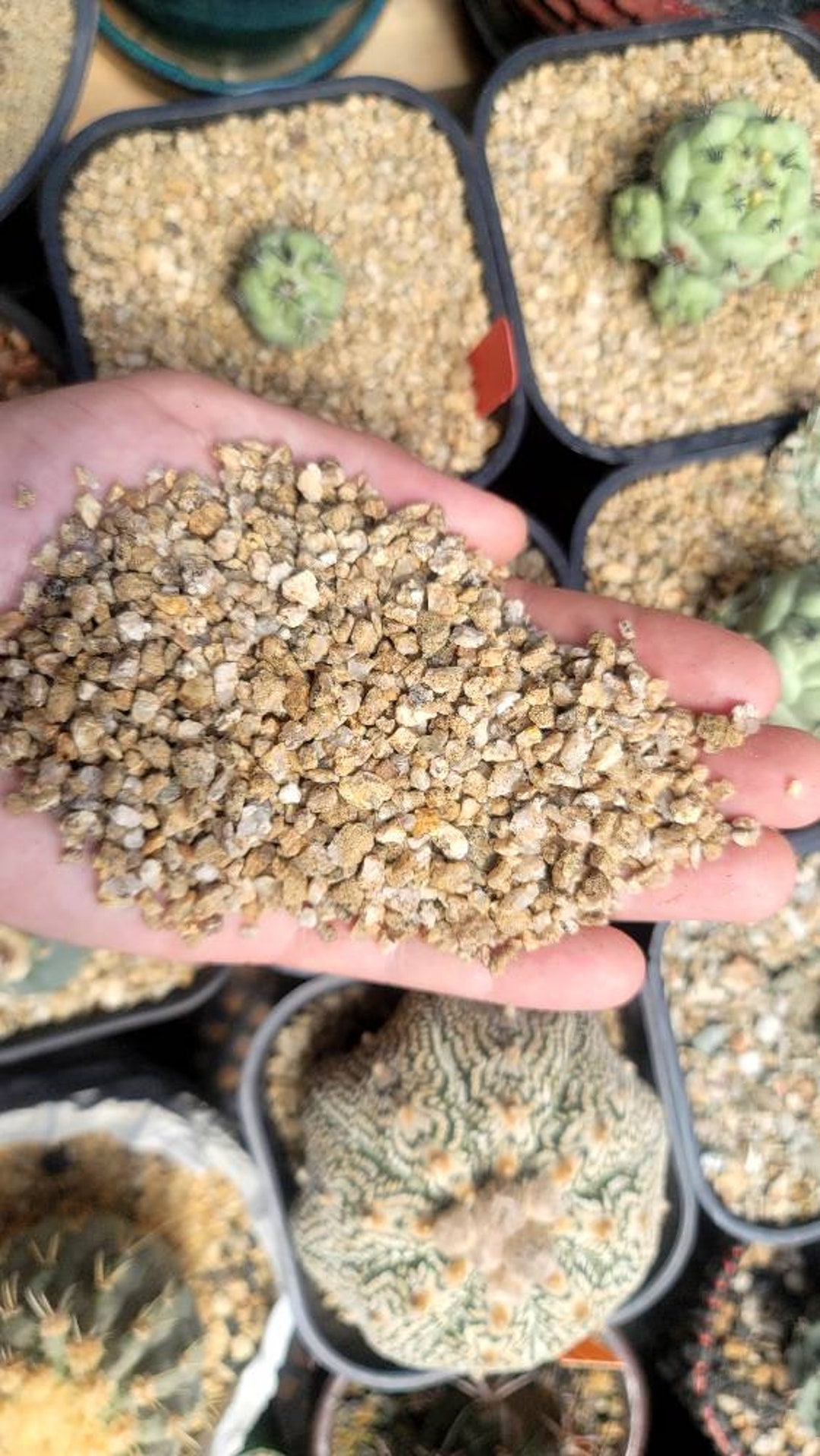 Decomposed Granite 1.2lbs - Top Dressing/ Soil Additive - DG - Etsy