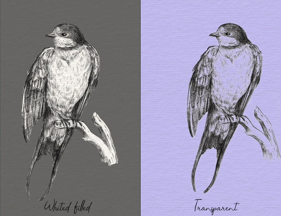 Hand-drawn Exotic Birds Clipart, 20 PNG Doodle Birds Clipart, Hand ...