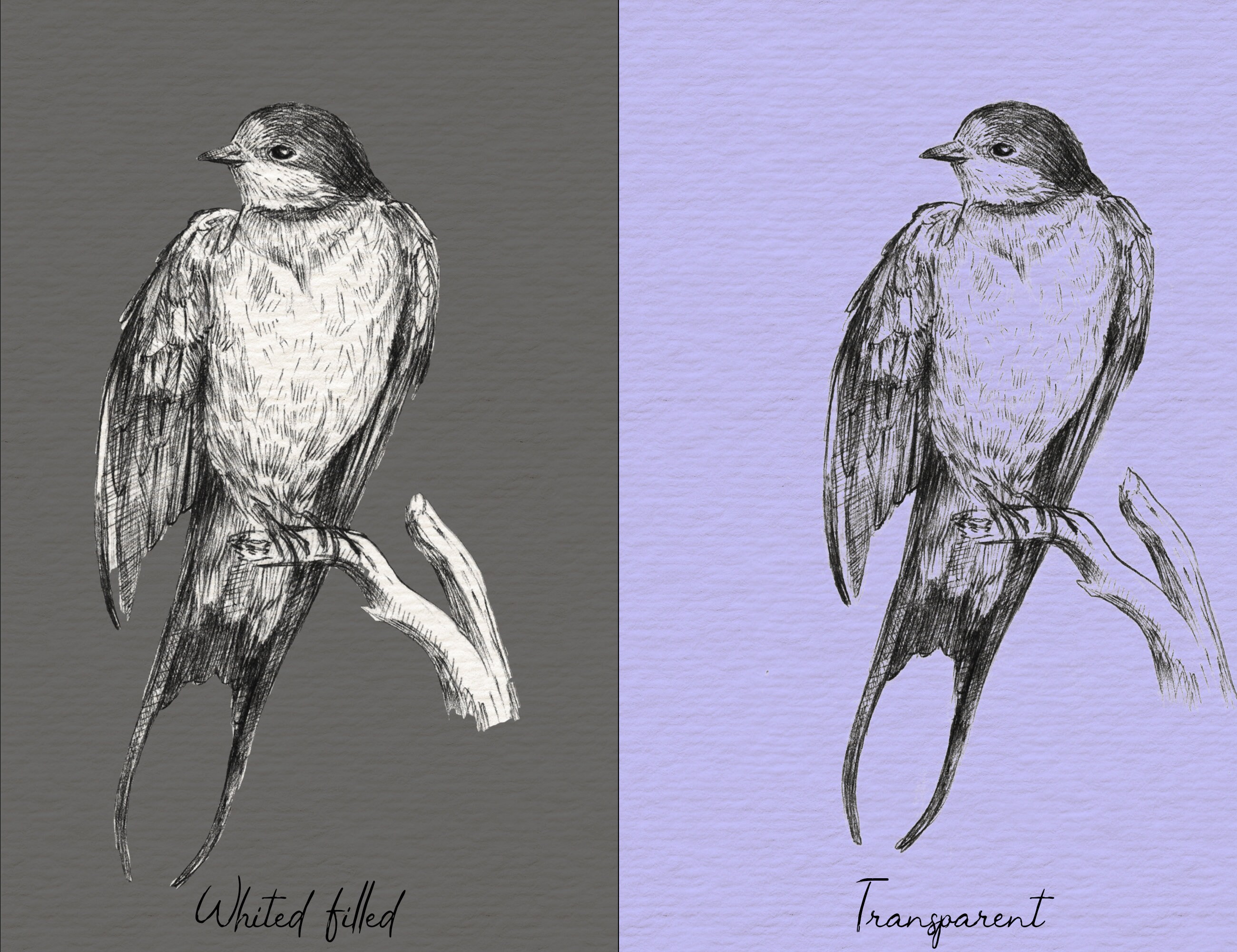 Hand-drawn Exotic Birds Clipart, 20 PNG Doodle Birds Clipart, Hand ...