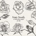 Hand Drawn Roses Clipart, Flowers Doodle Clipart, 10 Png Files, INSTANT ...