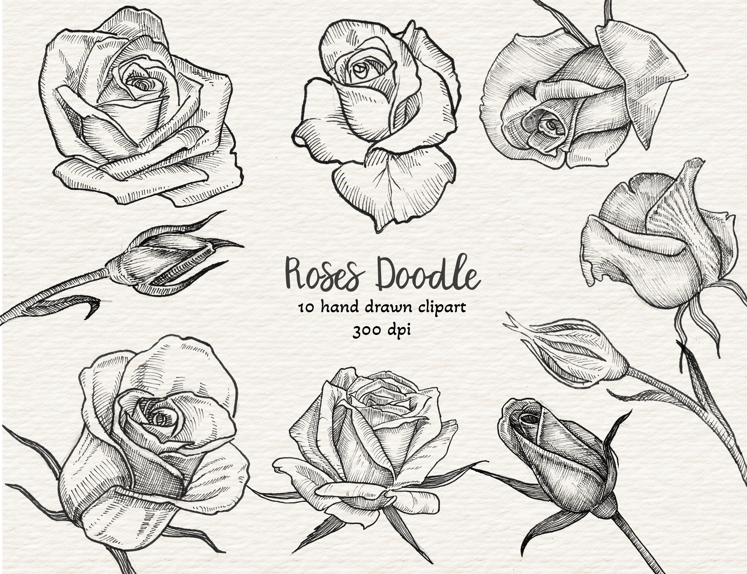 Hand Drawn Roses Clipart, Flowers Doodle Clipart, 10 Png Files, INSTANT ...