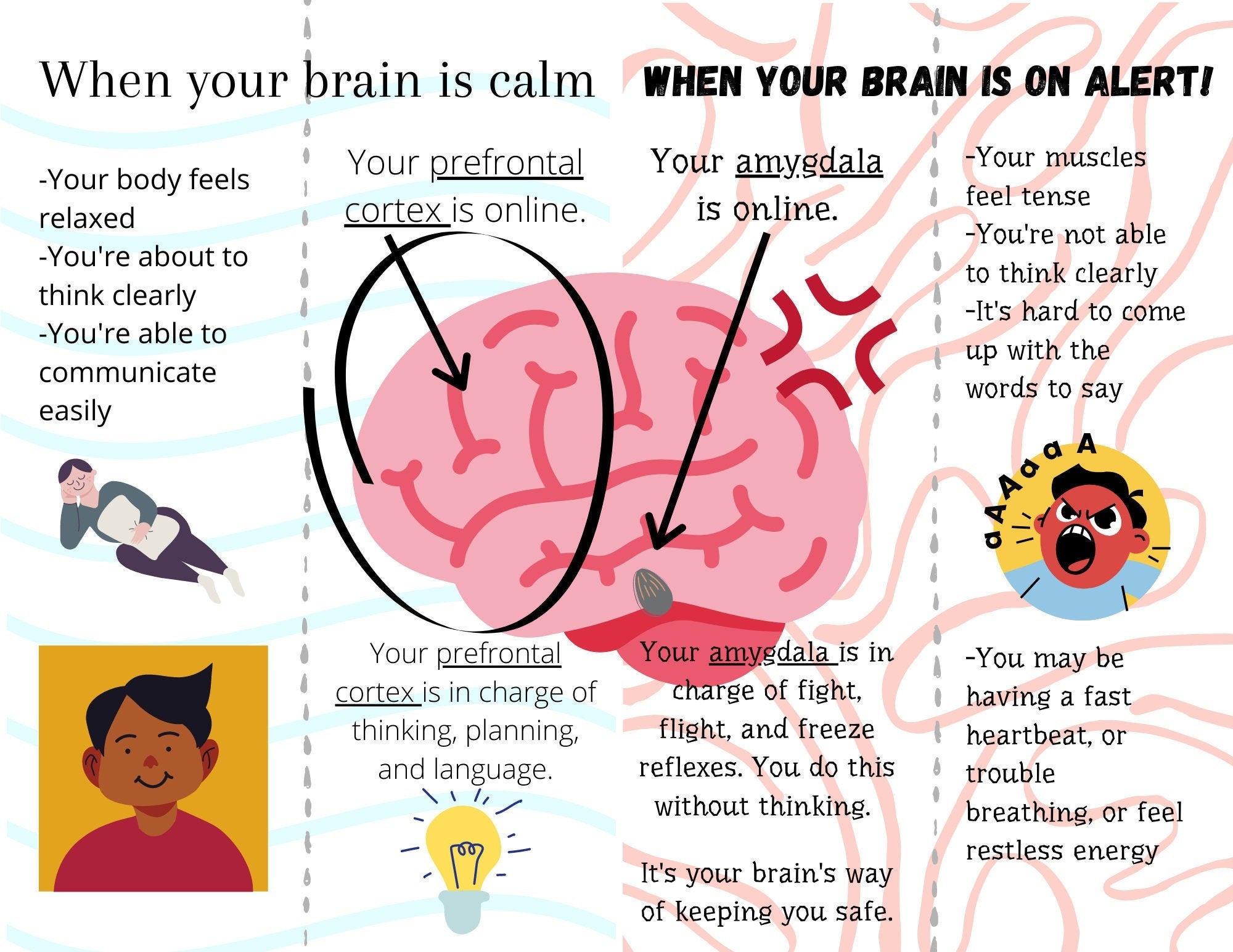 Foldable Psychoed Brain Activity - Etsy