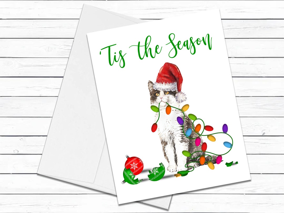 Norwegian Forest Cat 2, Christmas Cards, Funny Holiday Cards, Cute ...
