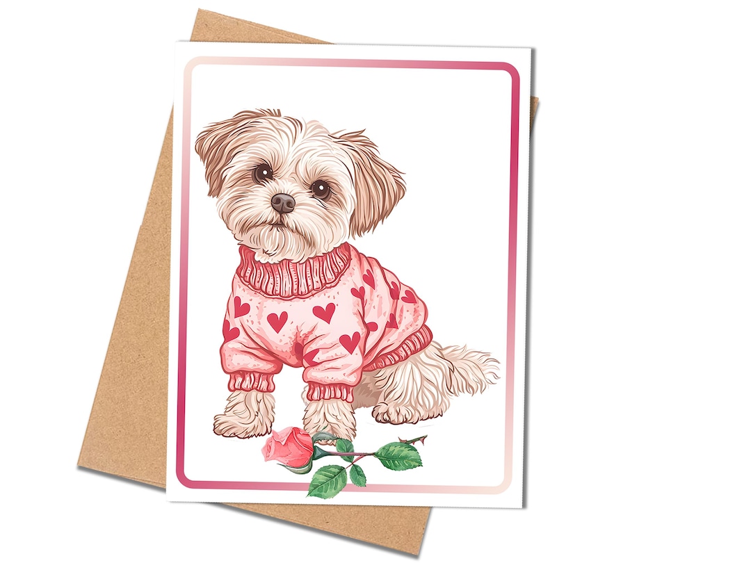 Shih Tzu / Maltese Dog Greeting Card, Valentine’s Day Dog Card, Blank ...