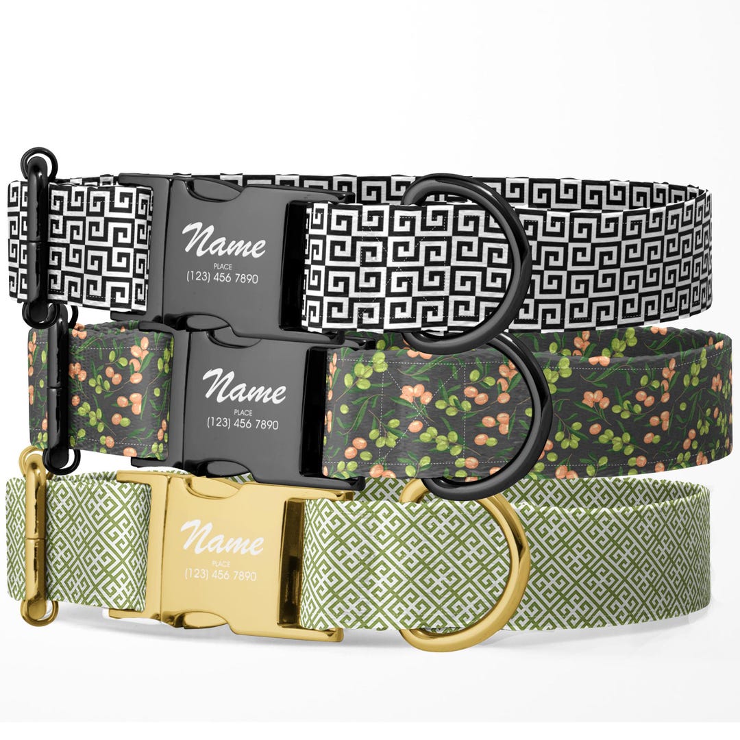 Personalized Greek Design Collar, Olive Branch & Greek Keys Patterns ...