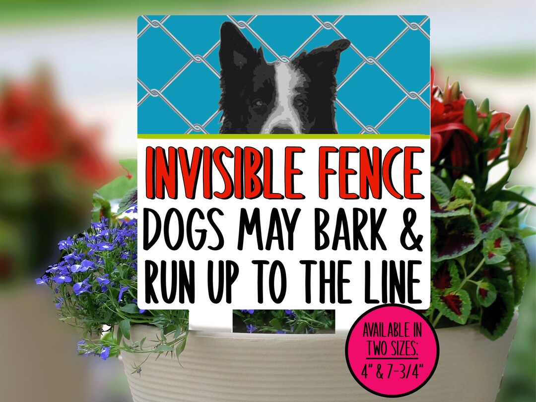 Border Collie Invisible Fence Sign, Outdoor Sign, Porch Sign, Metal ...