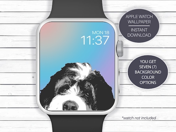 How Smart Is A Bernedoodle