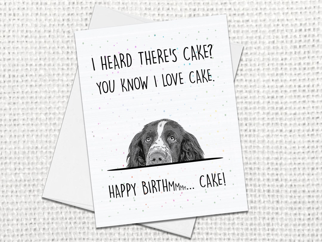I Heard There's Cake Springer Spaniel Happy Birthday Card From Dog, Dog ...