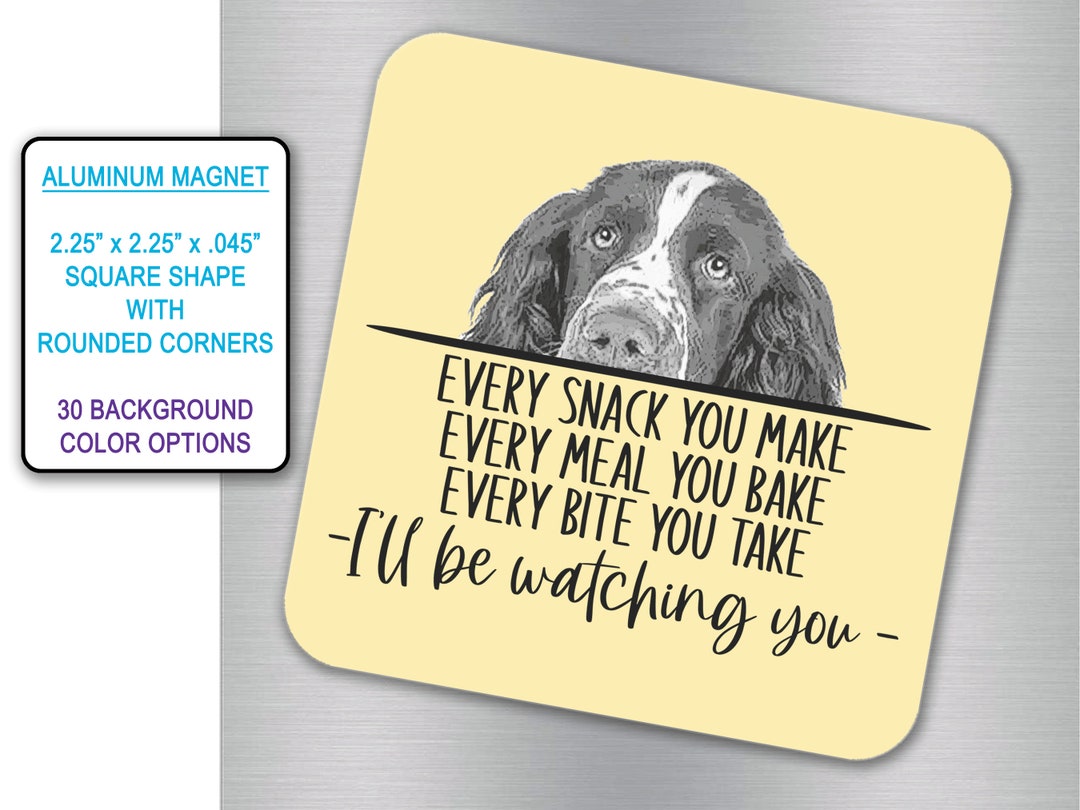 Springer Spaniel, Dog Magnet, Every Snack You Make Every Bite You Take ...