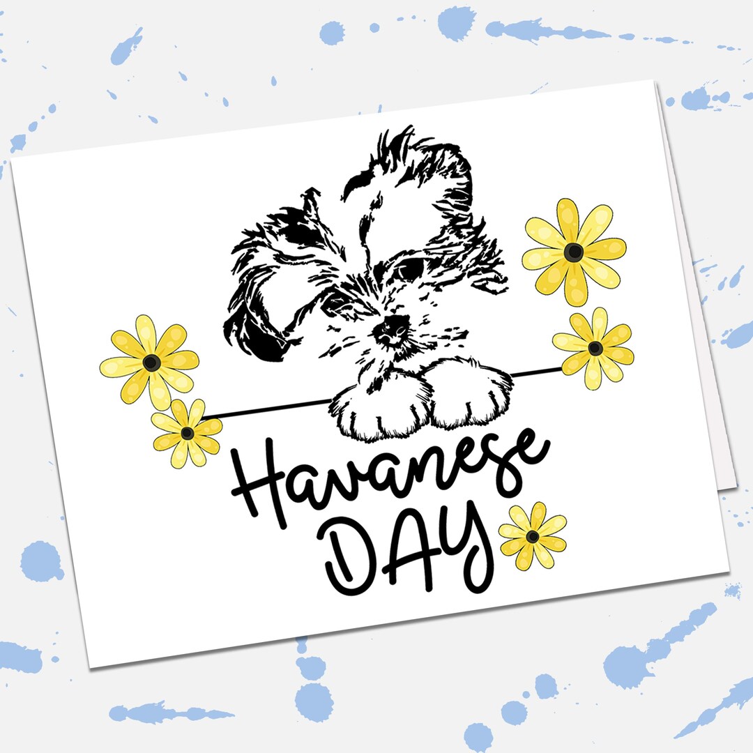 Havanese Day Blank Card, Havanese Birthday Card From Dog, Dog Dad Card ...