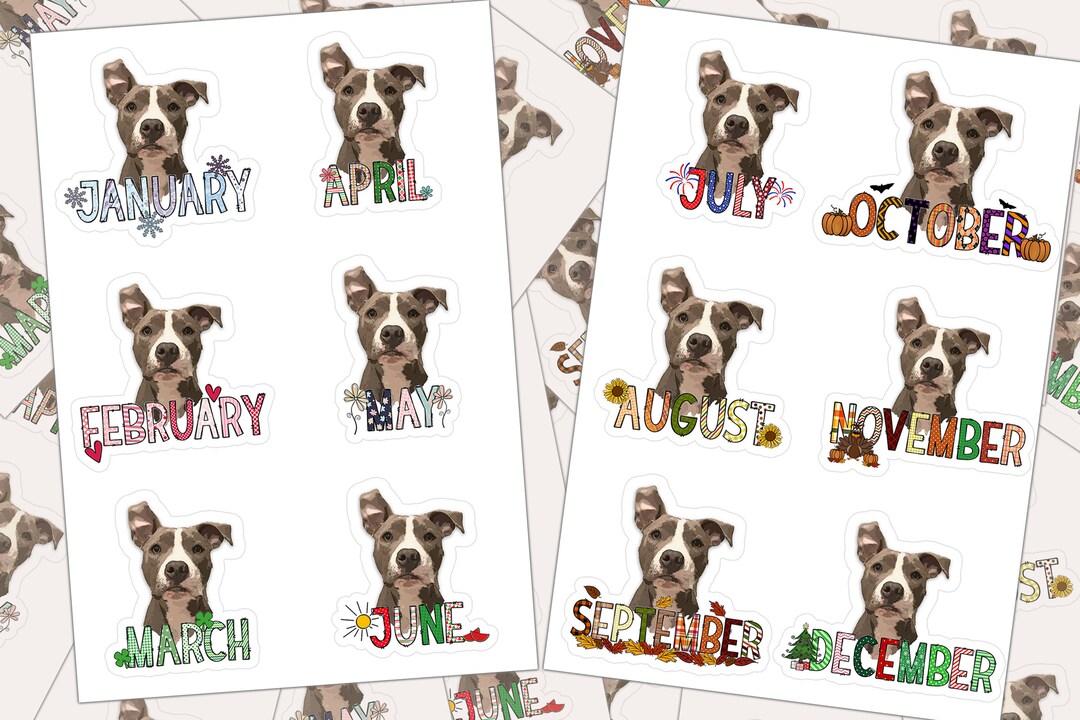 Pitbull Sticker, Months of the Year, Pit Bull Dog Mom, Sticker Sheet ...