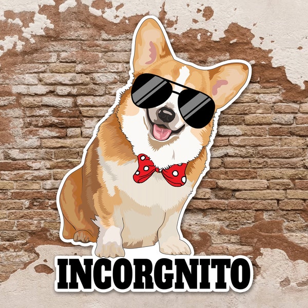 Incognito - Etsy