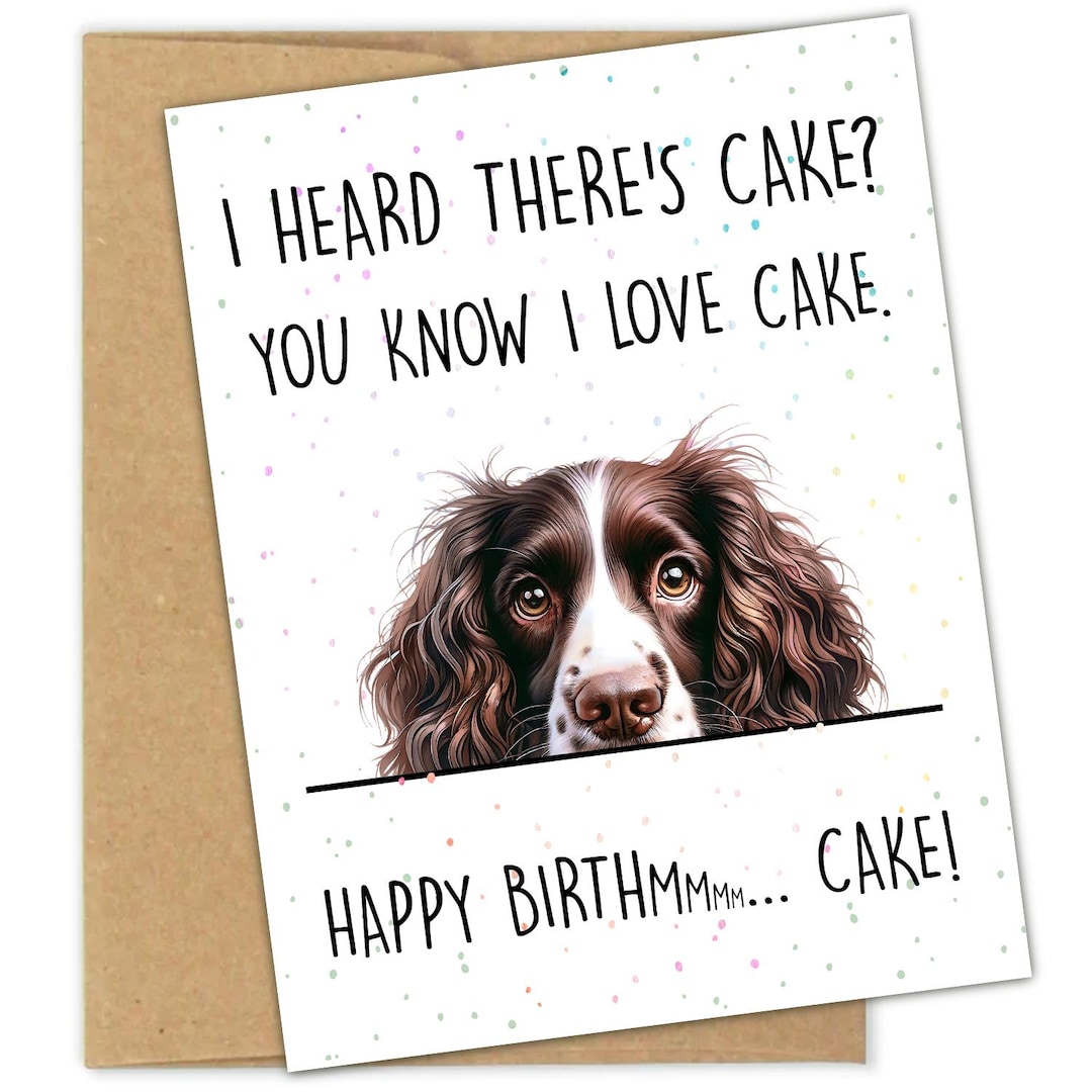 Funny Springer Spaniel Birthday Card, Dog Lover Happy Birthday, Cute ...