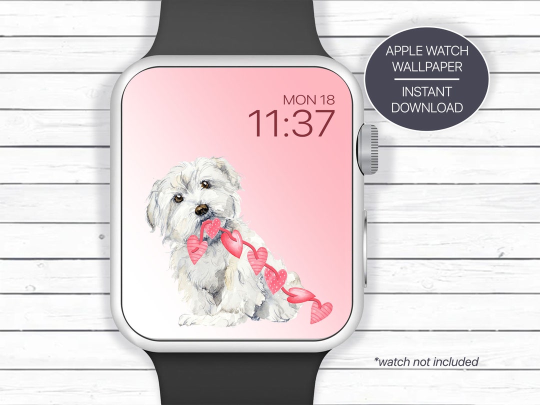 Havanese Dog, Smart Watch Face Wallpaper, Smartwatch Wallpaper ...