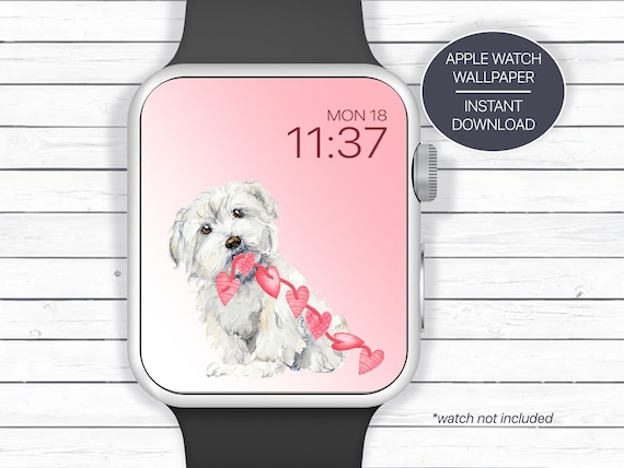 Havanese Dog Smart Watch Face Wallpaper Smartwatch - Etsy
