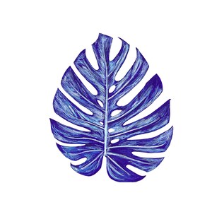 Hand Drawn Blue Monstera Canvas Print - Etsy