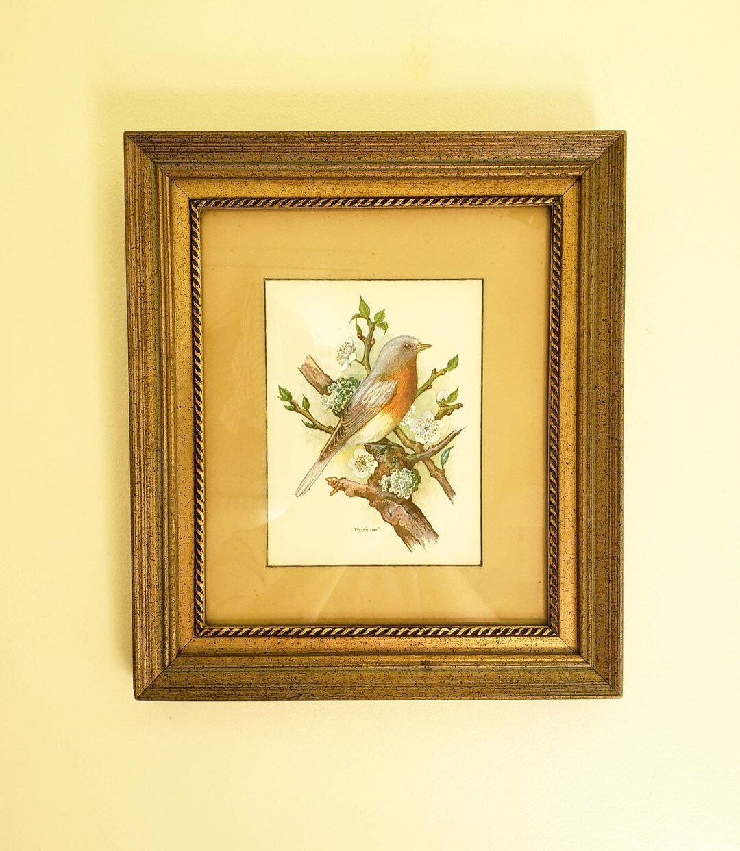 Vintage Bird Print Robin Red Breast Wood Frame Ph Gonner 1950s - Etsy