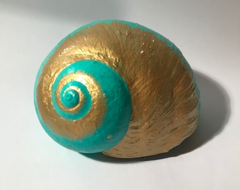 Moon Snail Shell - Hand Painted - Etsy