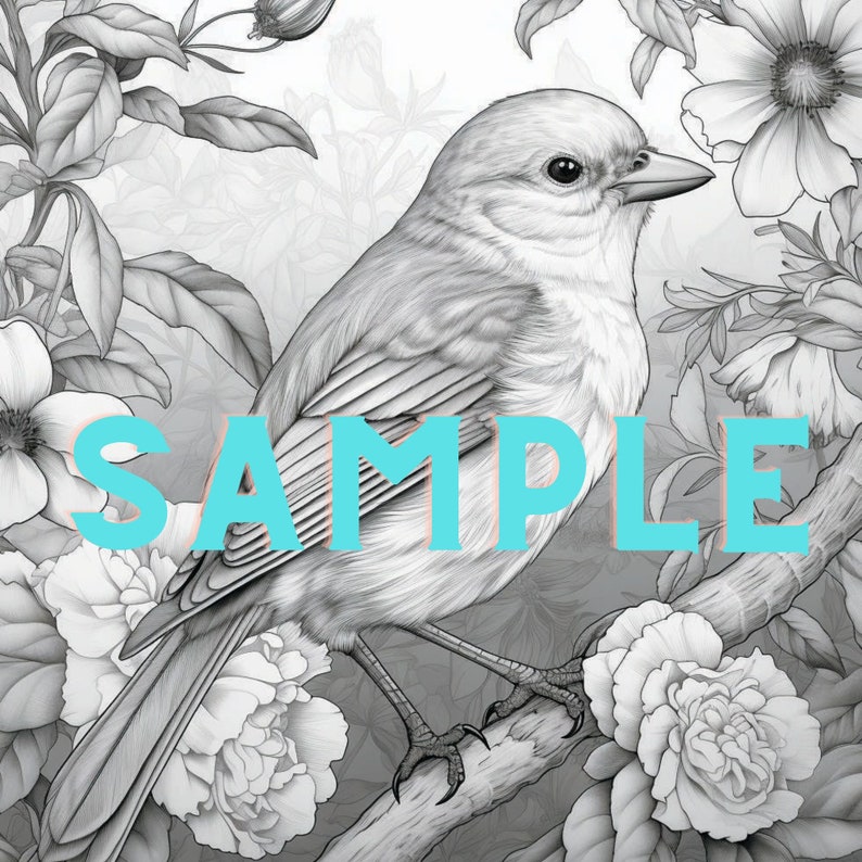 BIRDS & FLOWERS - 50 Grayscale Coloring Pages - Etsy