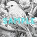 BIRDS & FLOWERS 50 Grayscale Coloring Pages - Etsy
