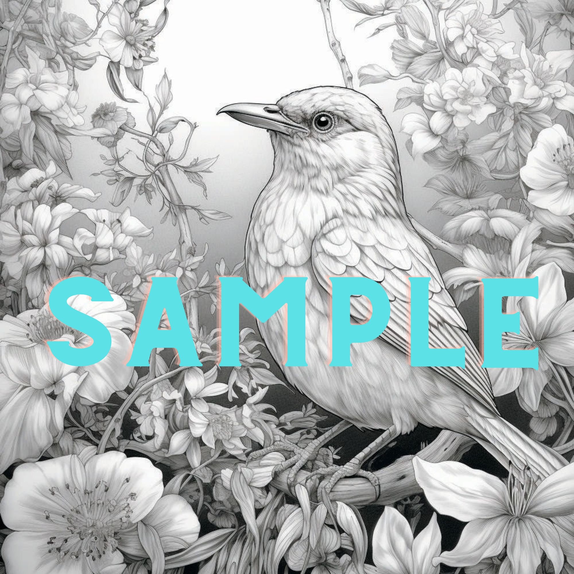 BIRDS & FLOWERS - 50 Grayscale Coloring Pages - Etsy