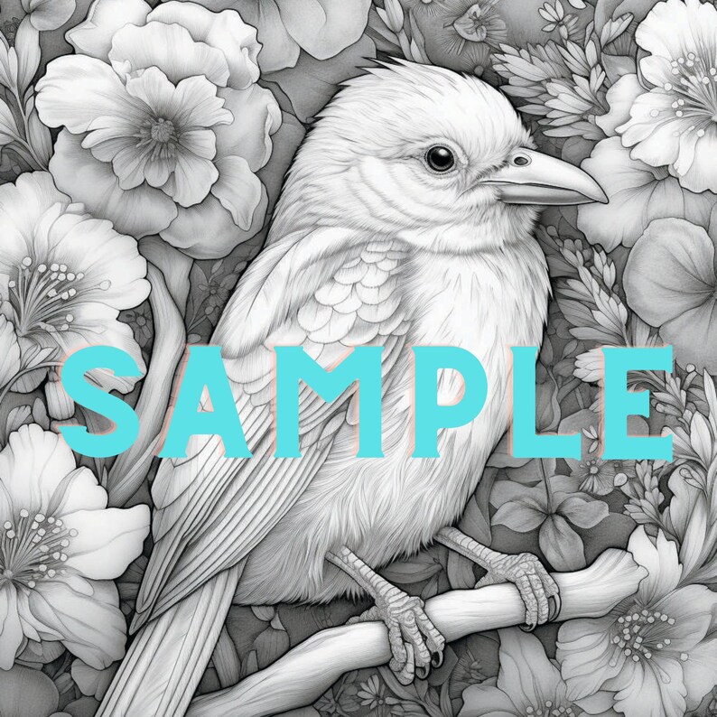BIRDS & FLOWERS - 50 Grayscale Coloring Pages - Etsy