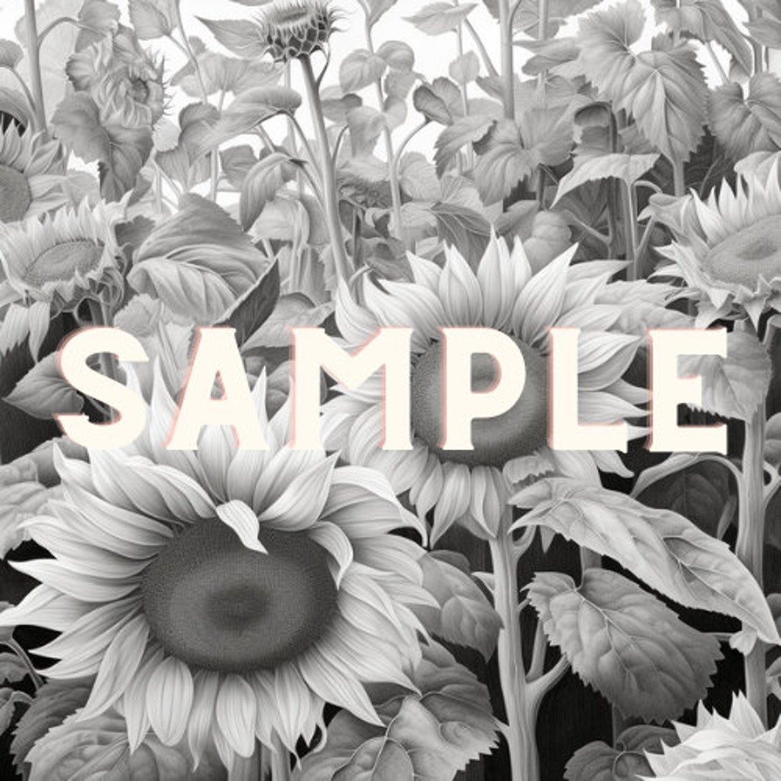 SUNFLOWERS 50 Grayscale Coloring Pages - Etsy