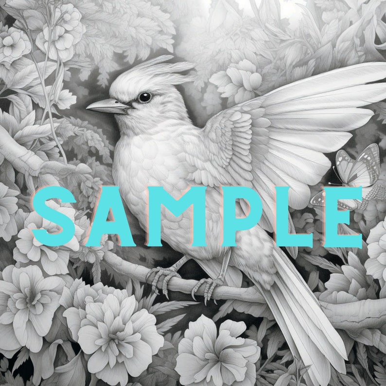 BIRDS & FLOWERS - 50 Grayscale Coloring Pages - Etsy