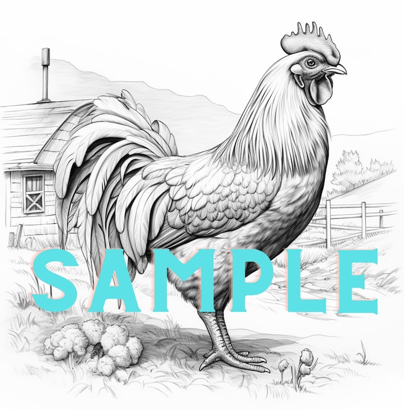 BARNYARD ROOSTERS- 50 Grayscale Coloring Pages - Etsy