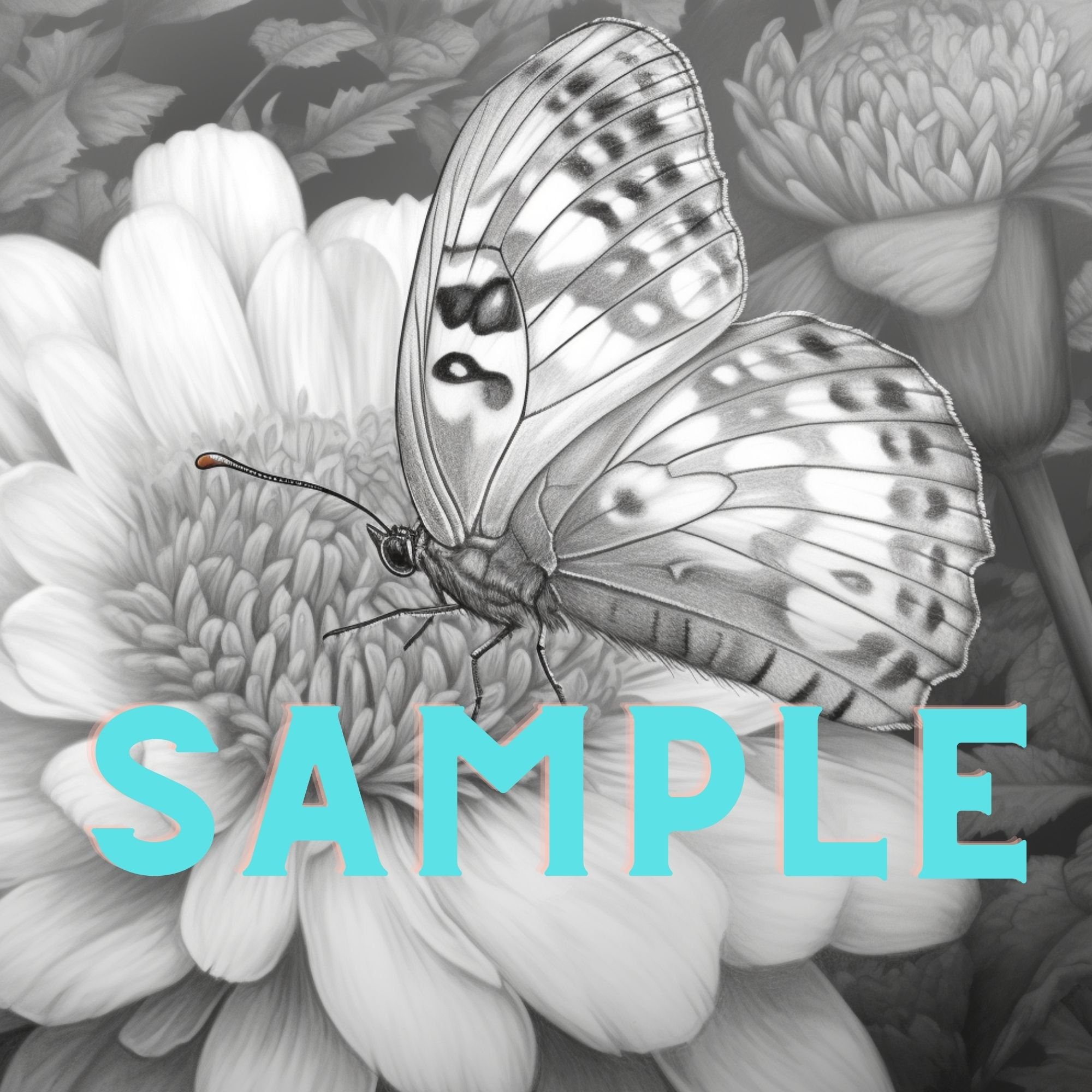 BUTTERFLIES & FLOWERS - 50 Grayscale Coloring Pages - Etsy