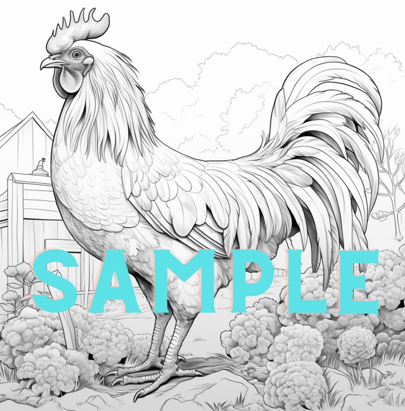 BARNYARD ROOSTERS- 50 Grayscale Coloring Pages - Etsy