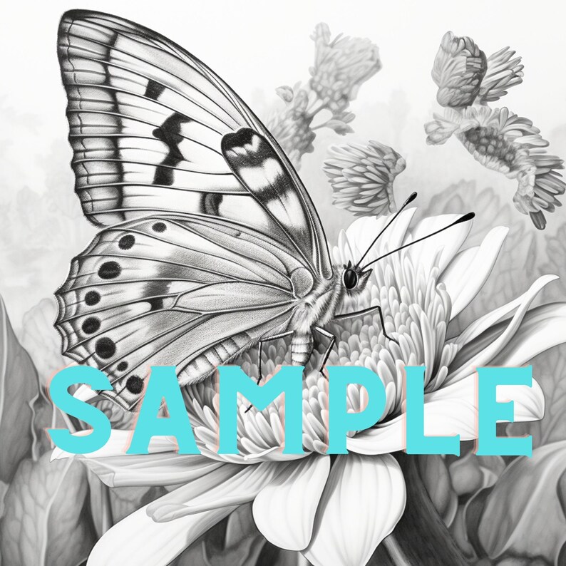 BUTTERFLIES & FLOWERS - 50 Grayscale Coloring Pages - Etsy