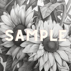 SUNFLOWERS - 50 Grayscale Coloring Pages - Etsy