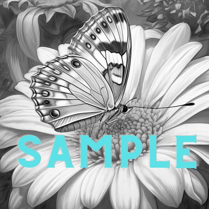 BUTTERFLIES & FLOWERS 50 Grayscale Coloring Pages - Etsy