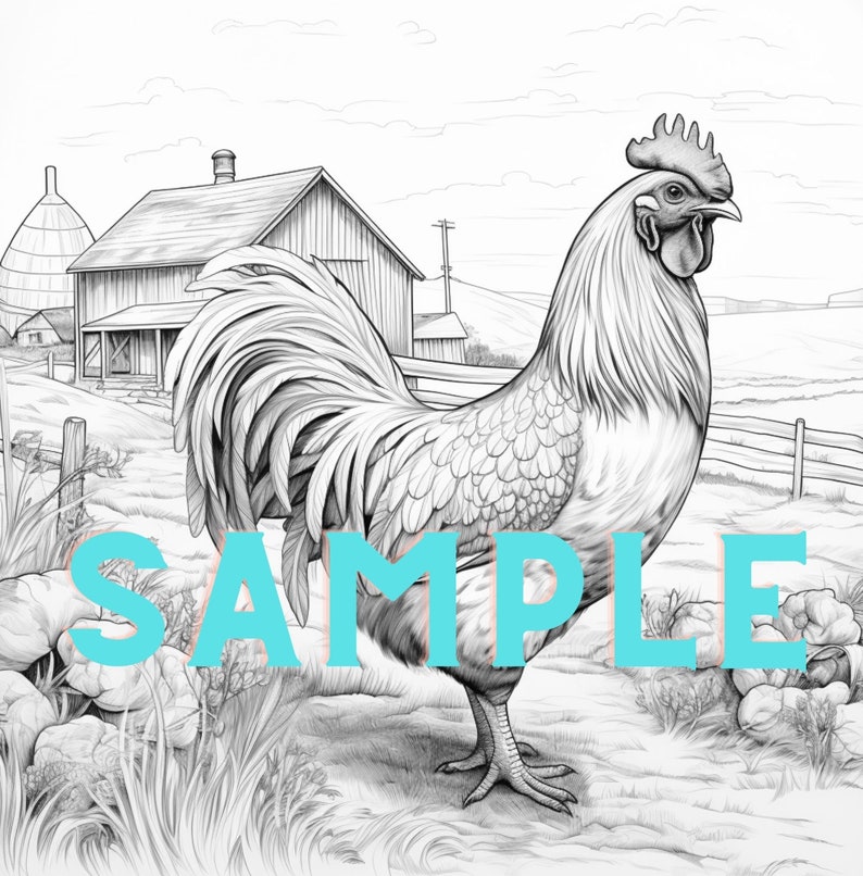 BARNYARD ROOSTERS 50 Grayscale Coloring Pages - Etsy