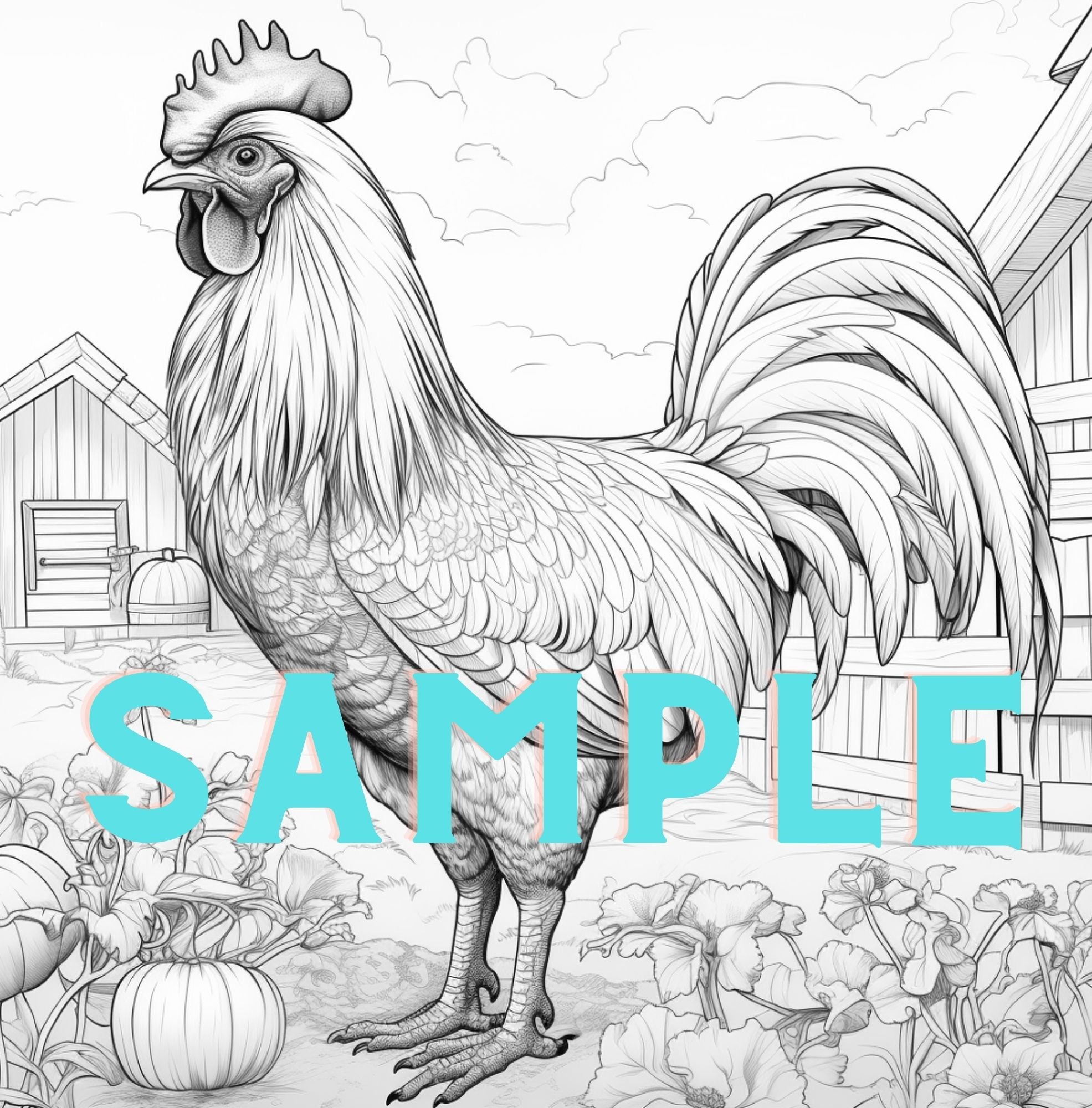 BARNYARD ROOSTERS 50 Grayscale Coloring Pages - Etsy