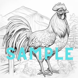 BARNYARD ROOSTERS- 50 Grayscale Coloring Pages - Etsy