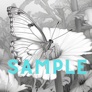 BUTTERFLIES & FLOWERS - 50 Grayscale Coloring Pages - Etsy