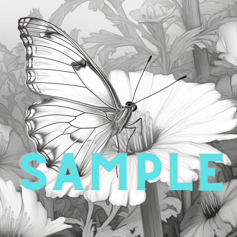 BUTTERFLIES & FLOWERS 50 Grayscale Coloring Pages - Etsy