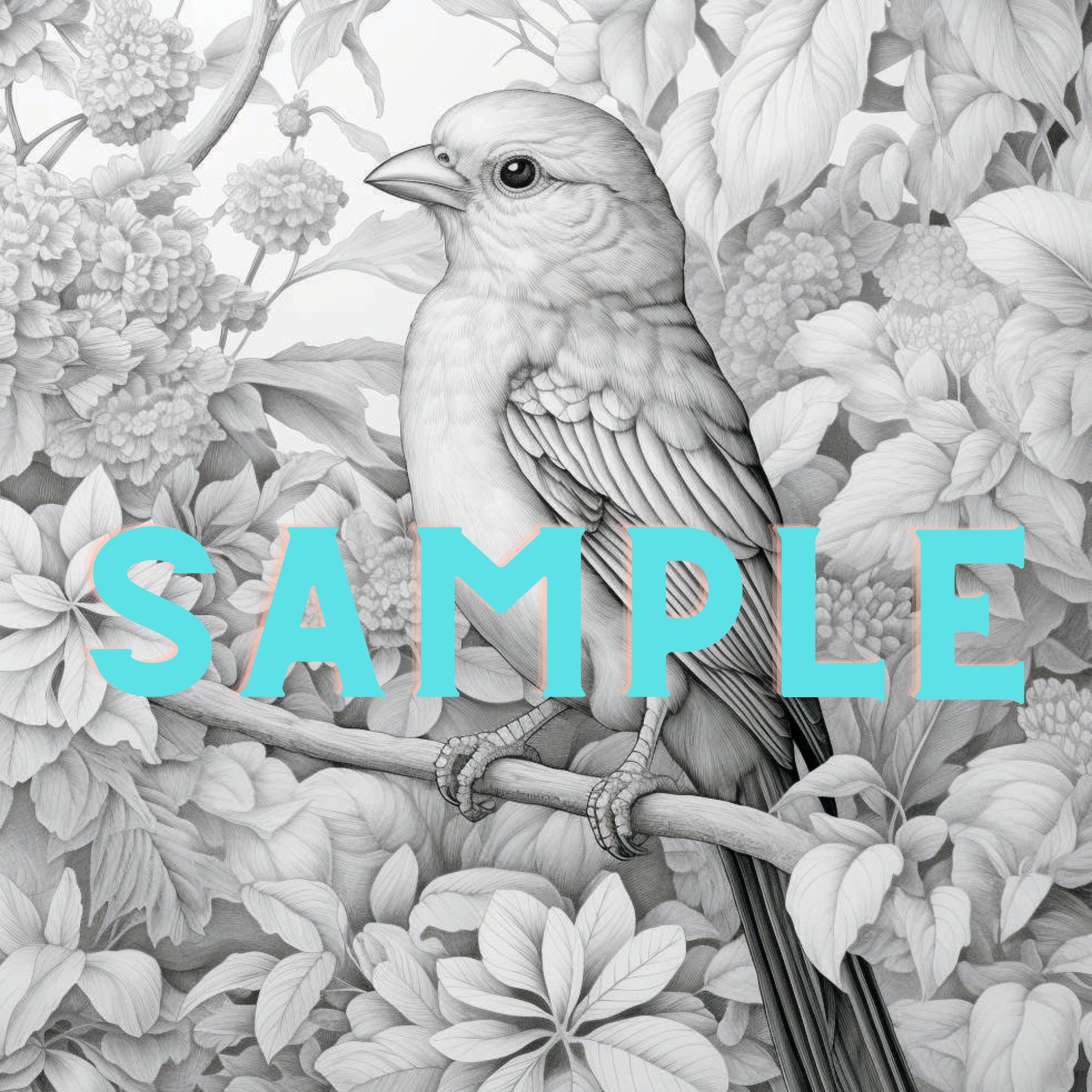 BIRDS & FLOWERS 50 Grayscale Coloring Pages - Etsy