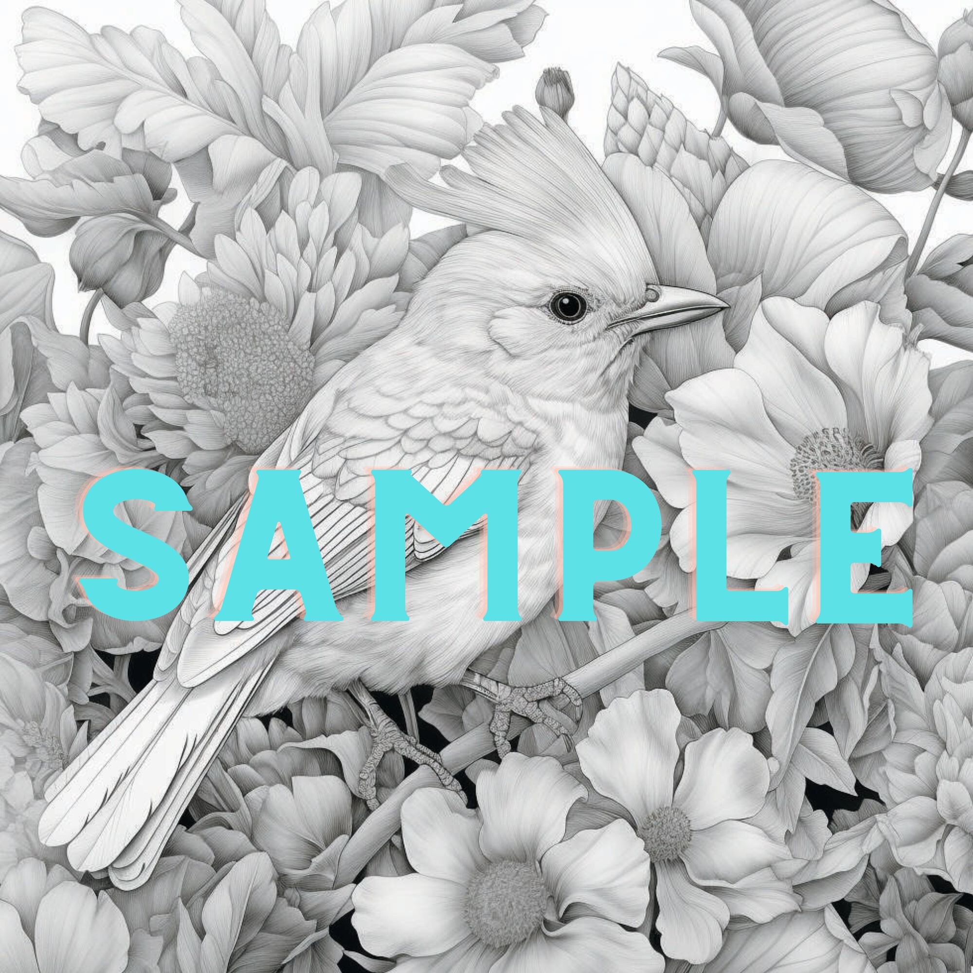 BIRDS & FLOWERS - 50 Grayscale Coloring Pages - Etsy