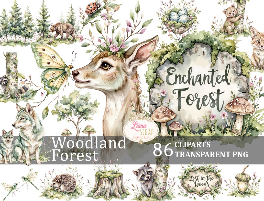 Woodland Forest 86 Digital Clipart Set - Animals, Forest PNG ...