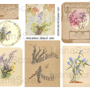 Vintage Botanical Ephemera Printables, Wildflowers Digital Collage ...