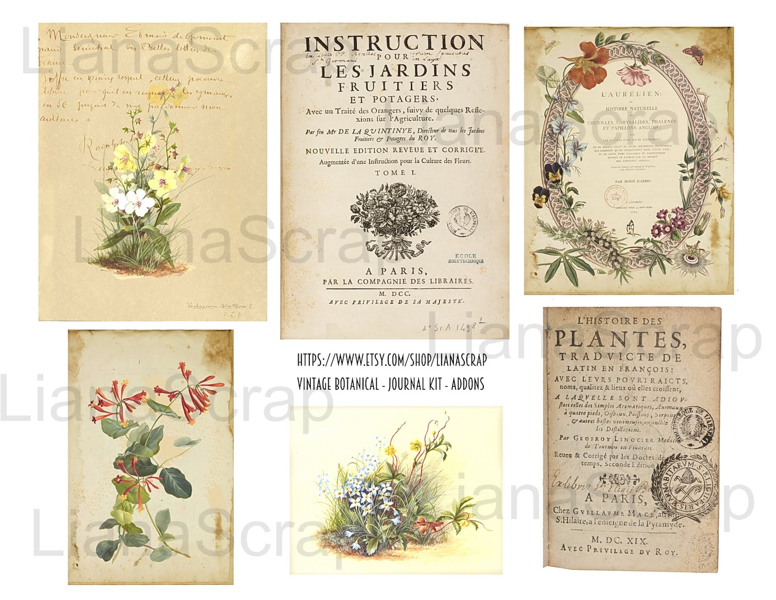 Vintage Botanical Ephemera Printables, Wildflowers Digital Collage ...
