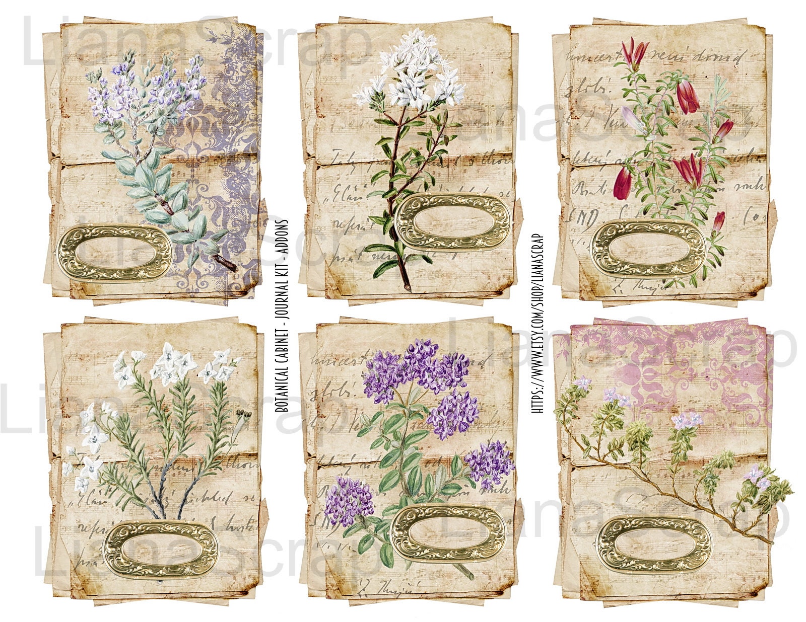Vintage Botanical Ephemera, Floral Collage Sheets (digital Kit) - Etsy