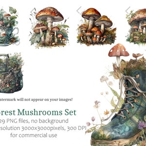 Forest Mushrooms Clipart PNG Set, 29 Mushroom Clipart, Commercial Use ...